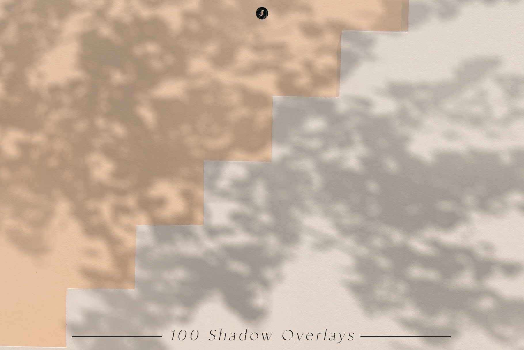 100 Shadow Overlays | Sunlight Shadow PNG Photo Overlays, Palm Shadow ...