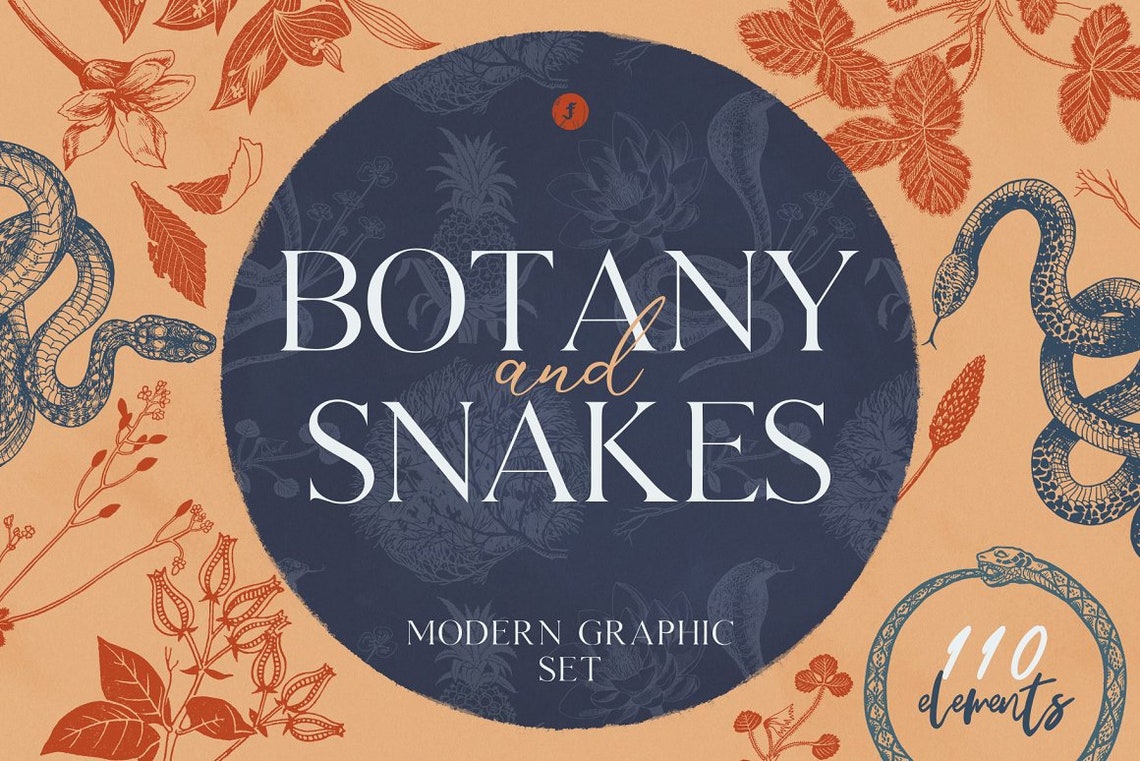 Botany and Snakes - Graphic Set | Snake PNG Illustrations, Botanical ...