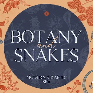 Botany and Snakes - Graphic Set | Snake PNG Illustrations, Botanical ...