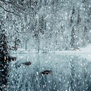 10 Animated Falling Snow Overlays | Animated Snow, Falling Snow Overlay ...