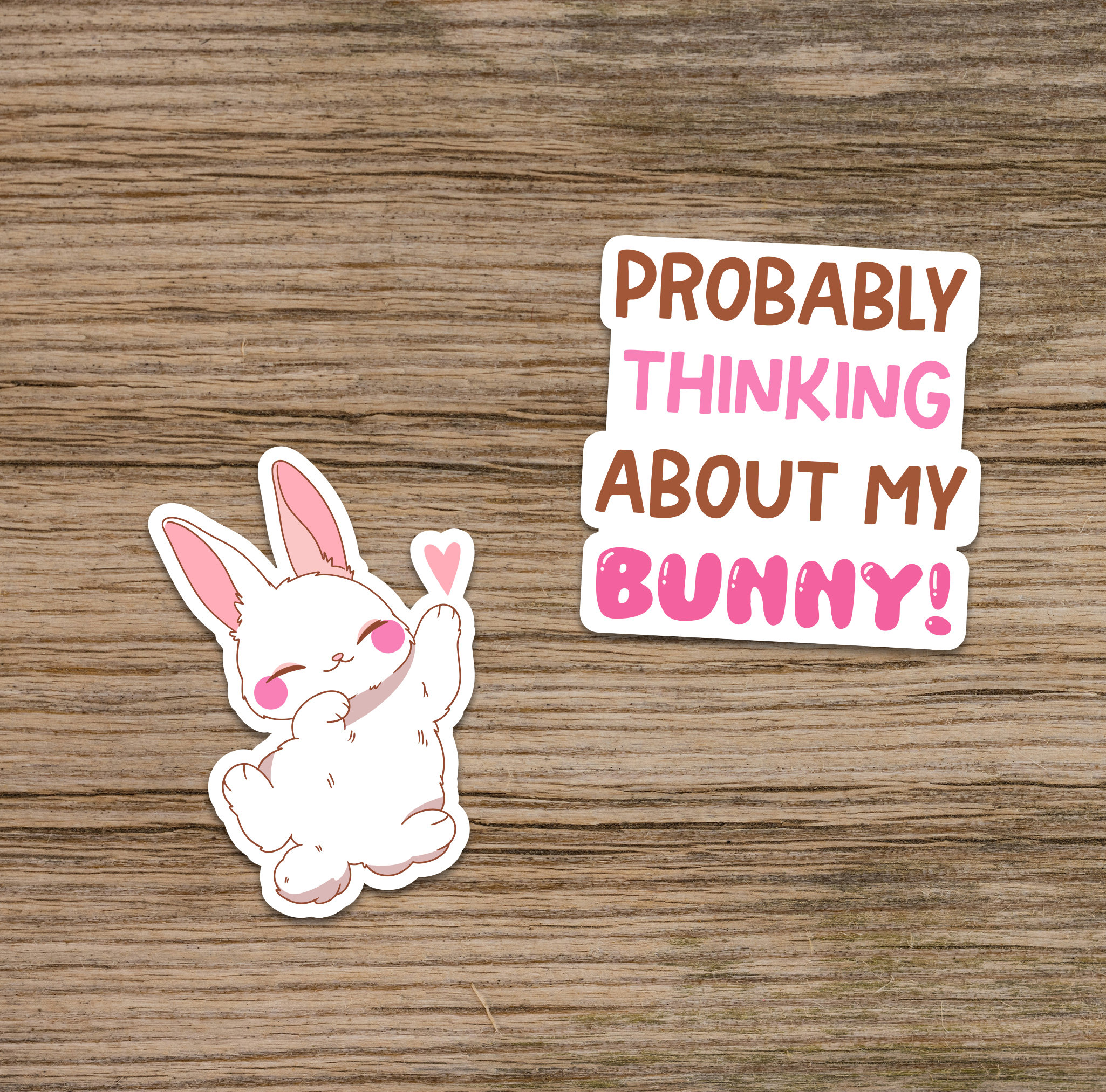 Cute Bunny Sticker Gift Pack for Rabbit Owner Present Bunny Decal Pink ...