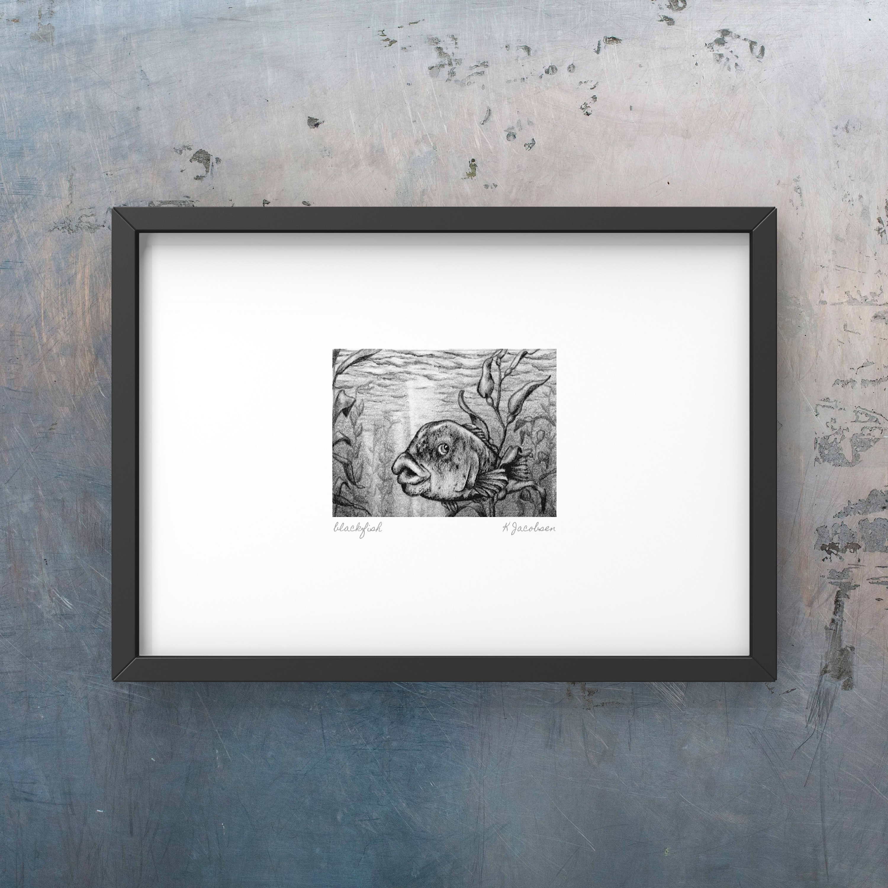 Miniature Blackfish Pencil Drawing | Giclée Print - Etsy