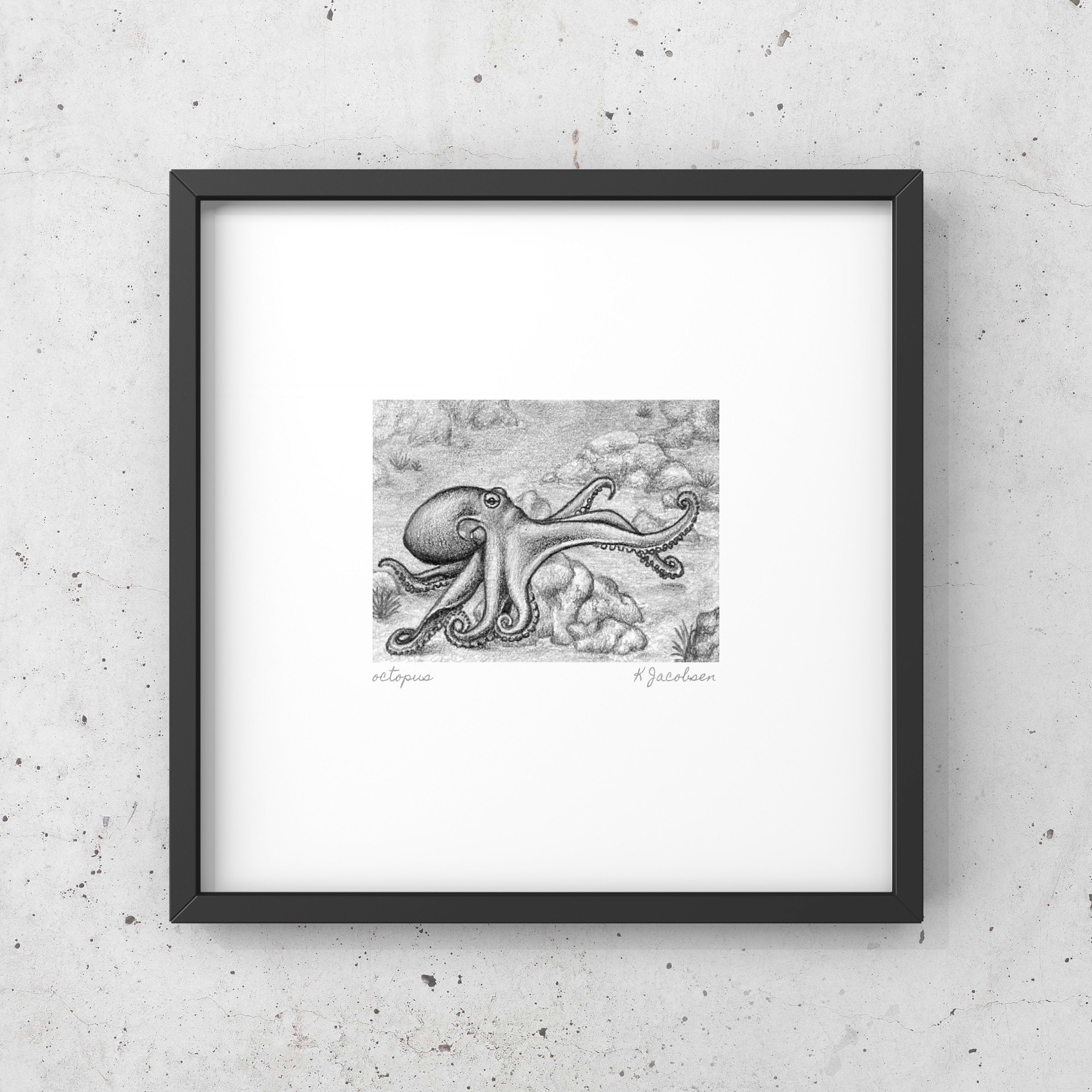 Miniature Octopus Pencil Drawing | Giclée Print - Etsy
