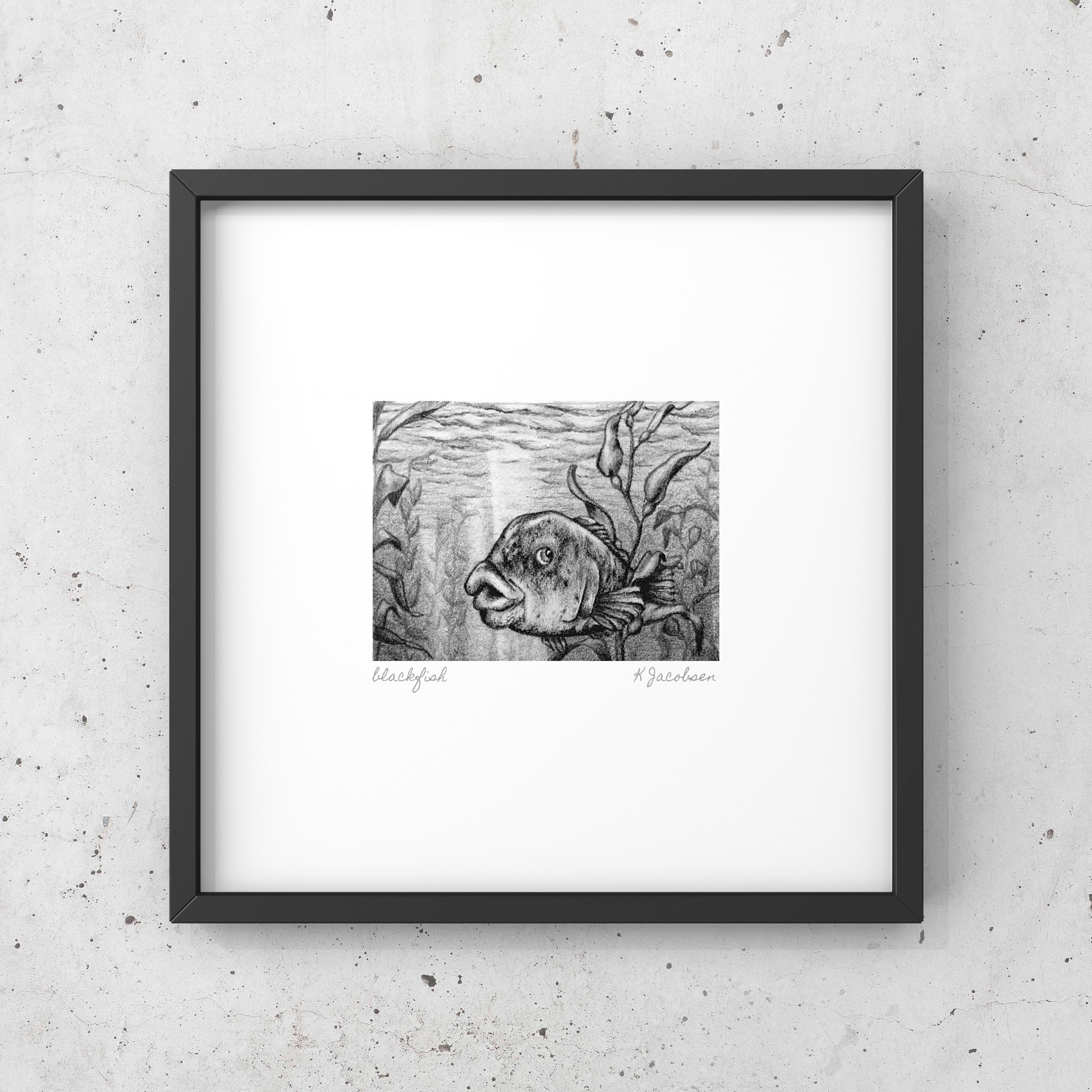 Miniature Blackfish Pencil Drawing | Giclée Print - Etsy