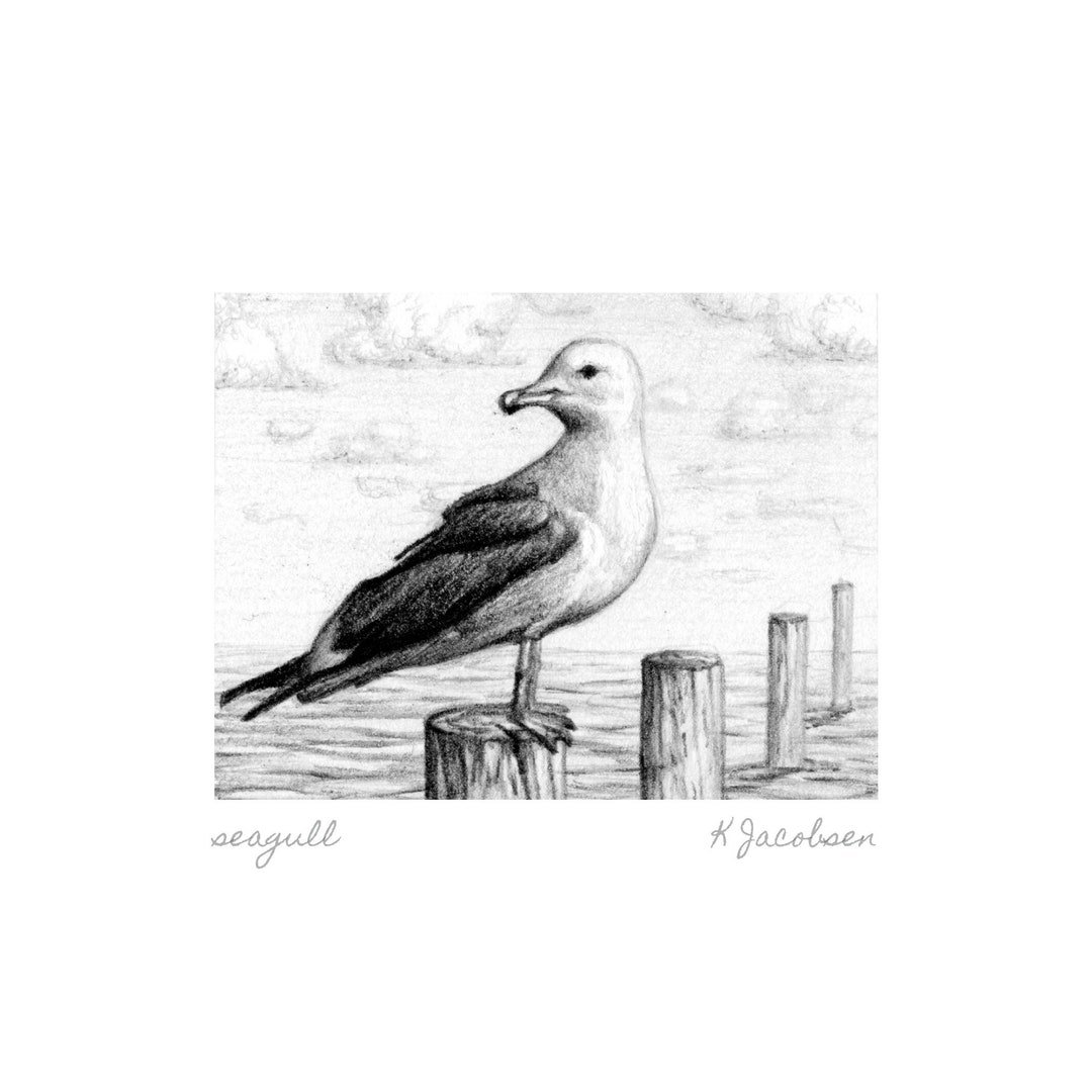 Miniature Seagull Pencil Drawing | Giclée Print - Etsy