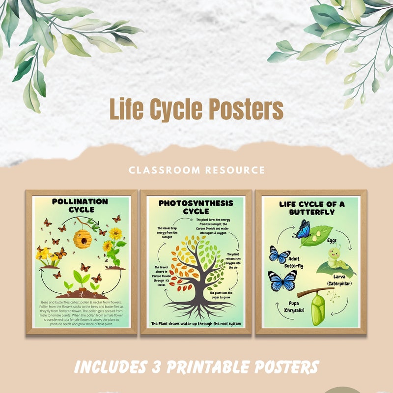 Pollinator Education - Etsy