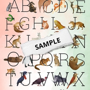 Animal Alphabet Printable Poster -early Childhood Teacher Resources ...