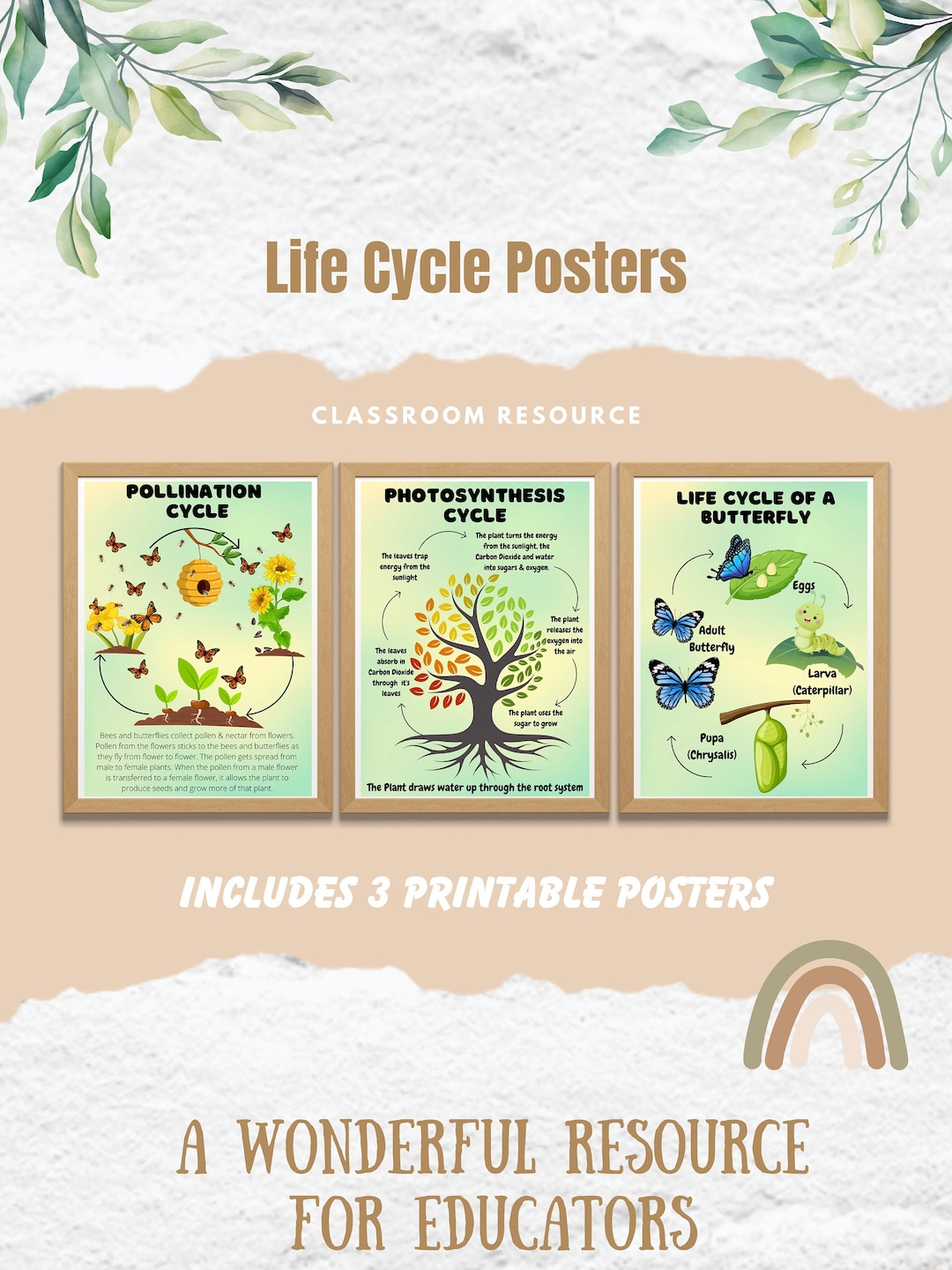 Pollination, Life Cycles & Photosynthesis - Etsy