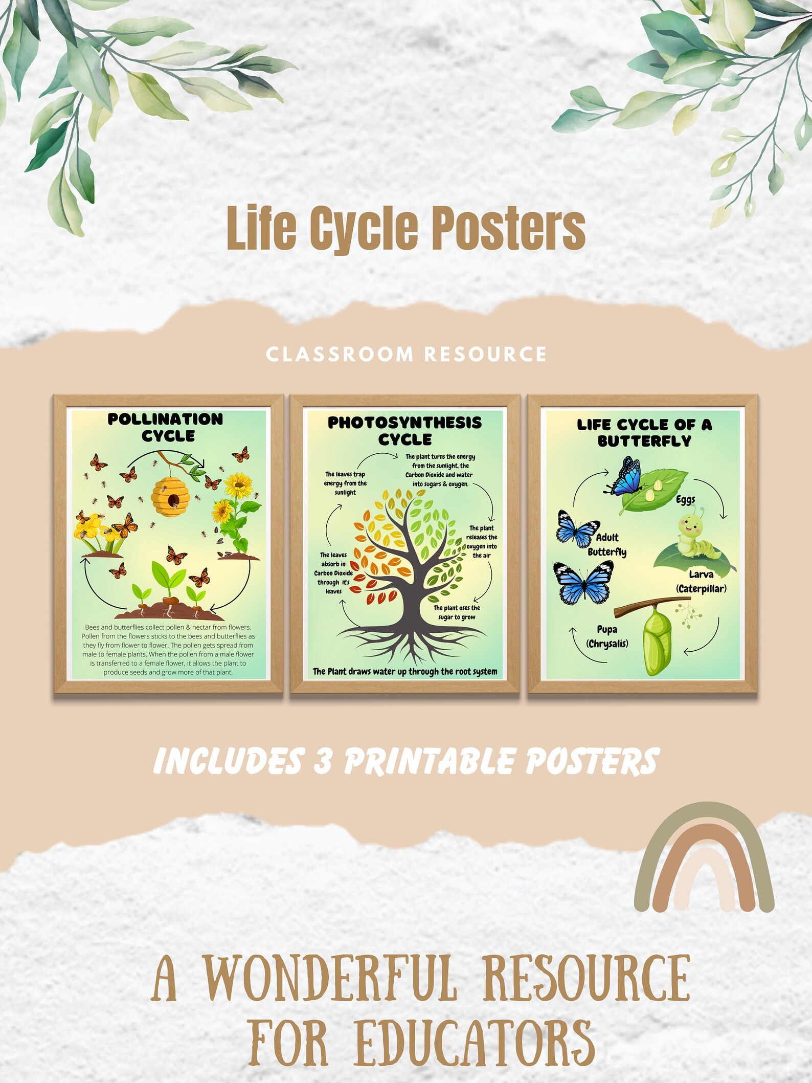 Pollination, Life Cycles & Photosynthesis - Etsy