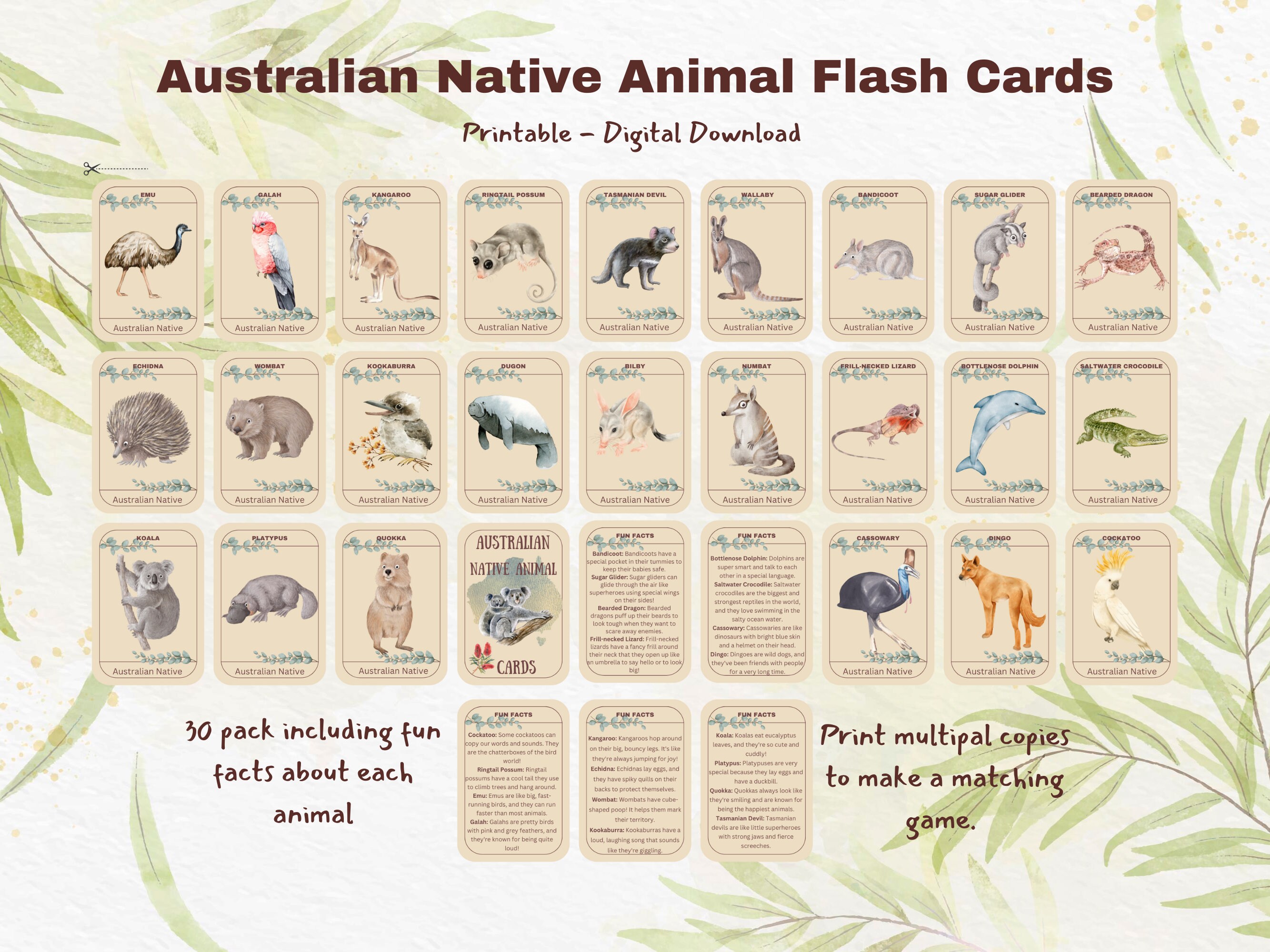 Australian Native Animal Flash Cards and Memory Game - Etsy