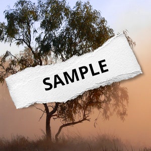 Aboriginal Torres Strait Islander - Acknowledgement Poem Posters - Etsy ...