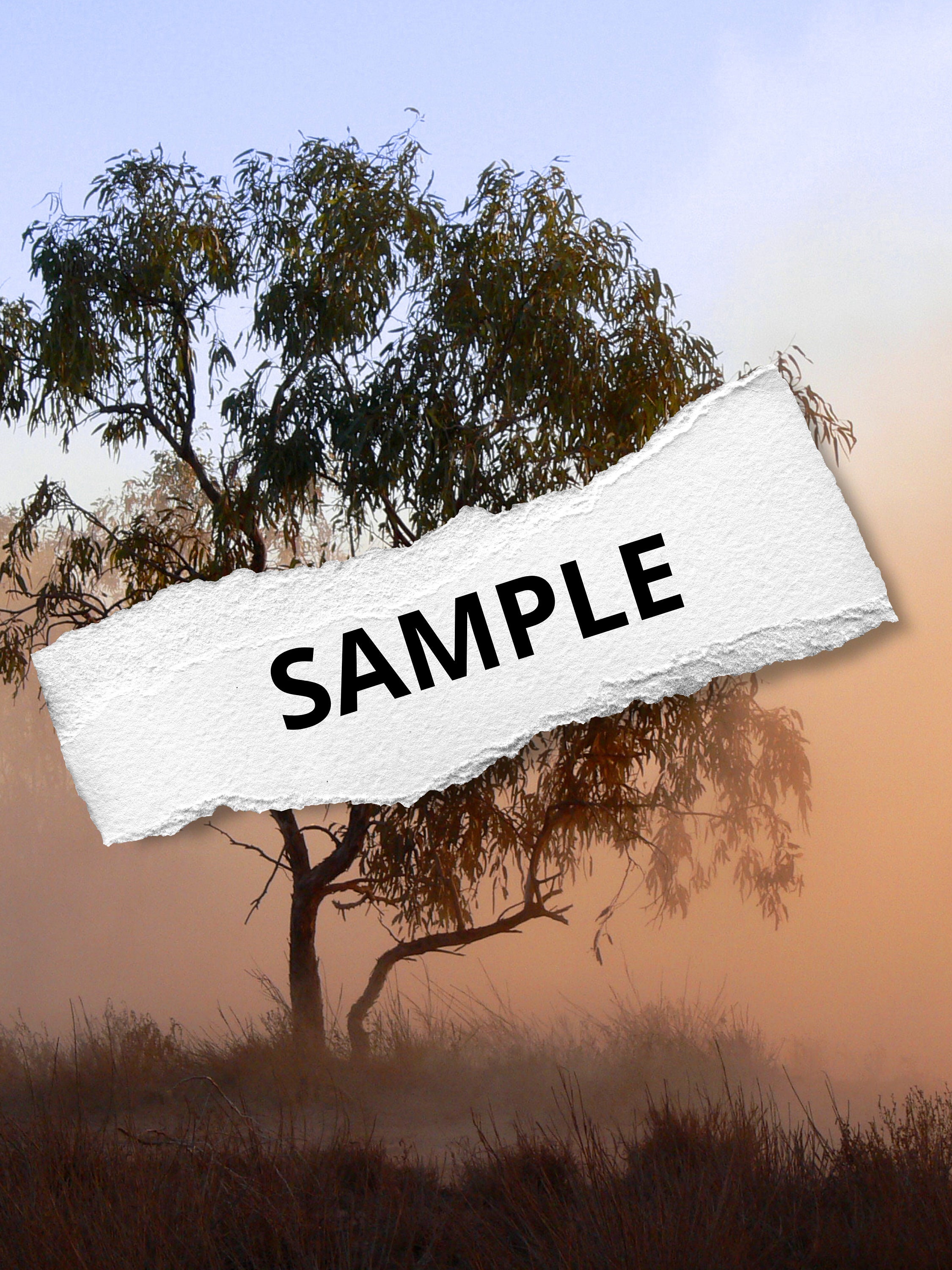 Aboriginal Torres Strait Islander - Acknowledgement Poem Posters - Etsy