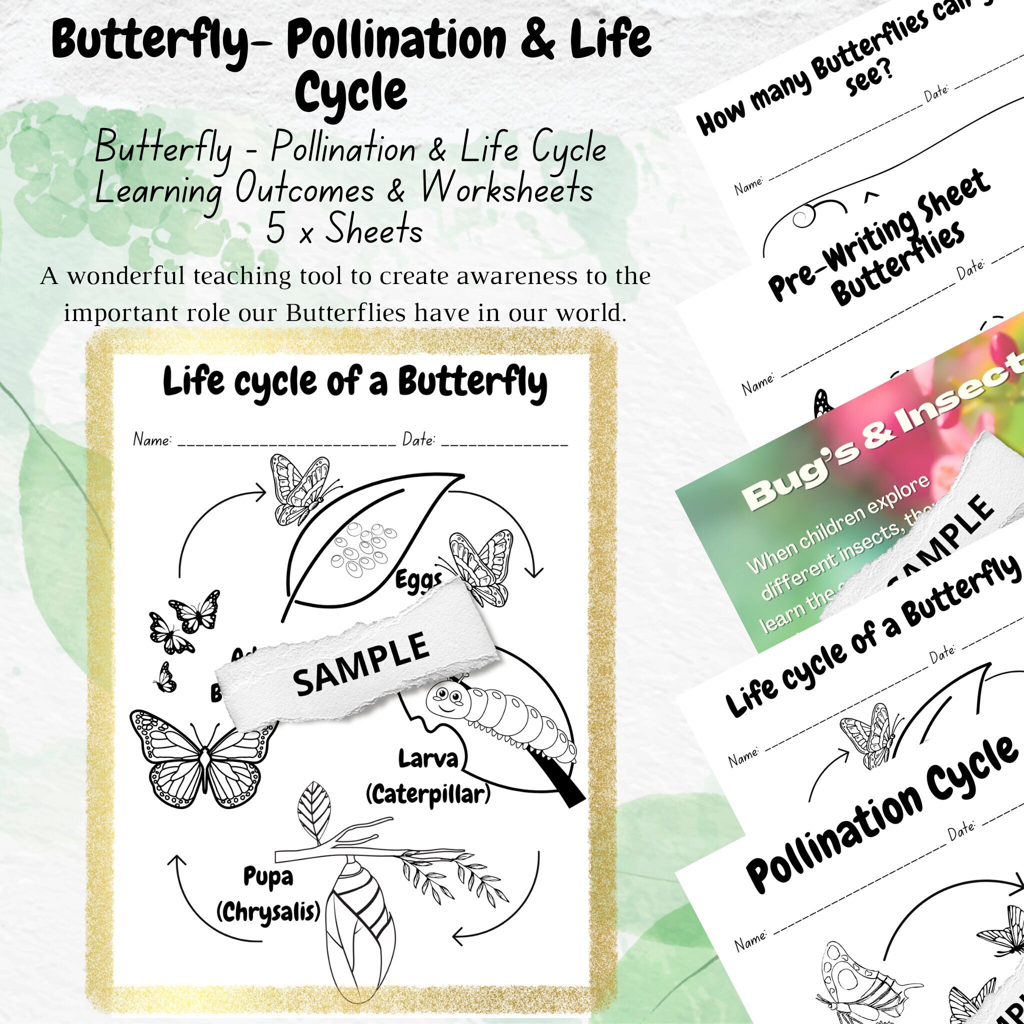 Butterfly Pollination & Life Cycle Worksheets - Etsy