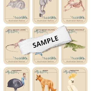 Australian Native Animal Flash Cards and Memory Game - Etsy