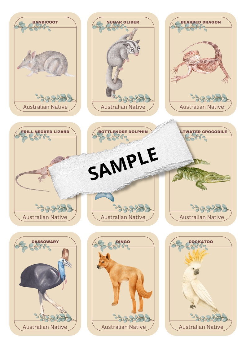 Australian Native Animal Flash Cards and Memory Game - Etsy