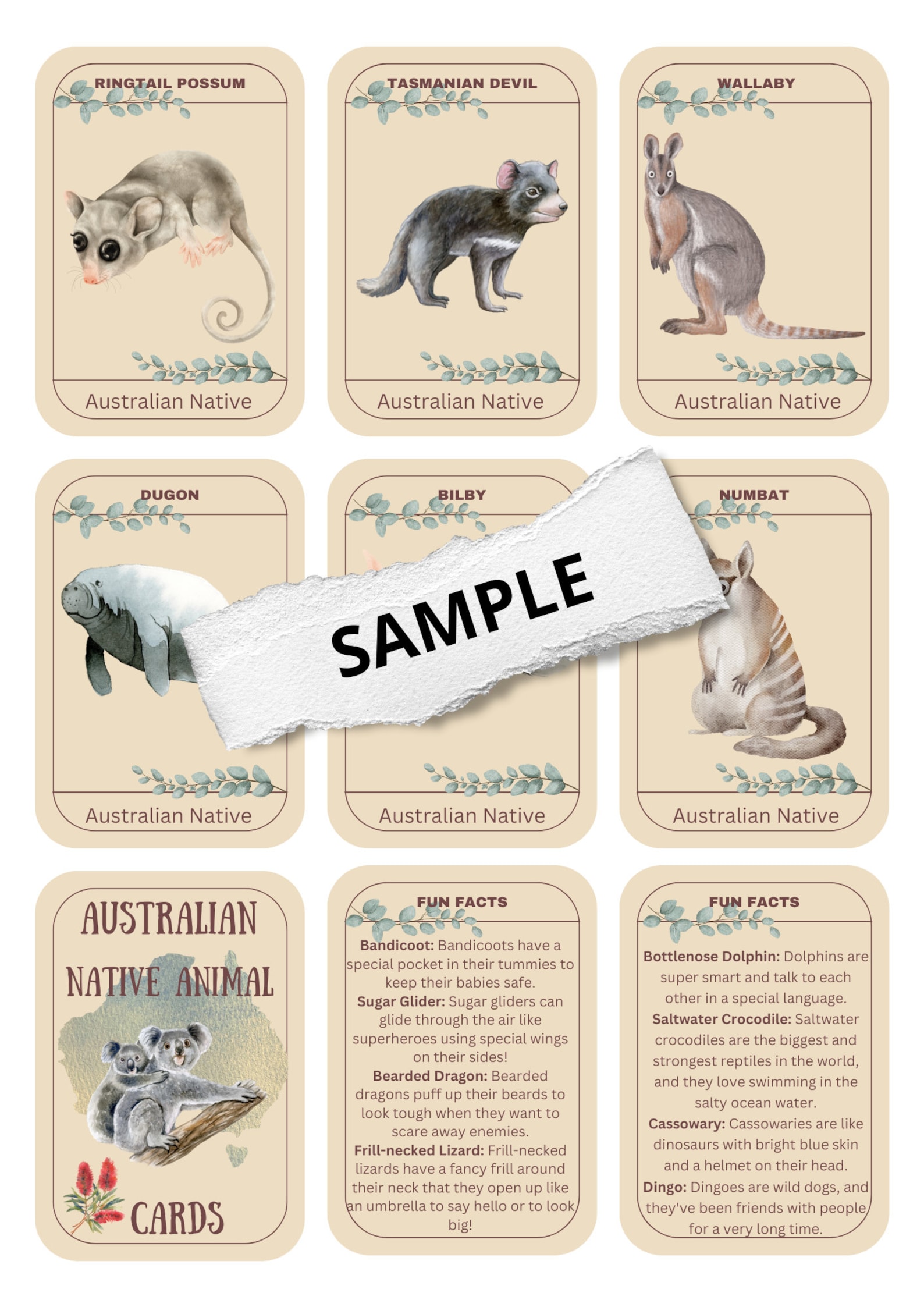 Australian Native Animal Flash Cards and Memory Game - Etsy
