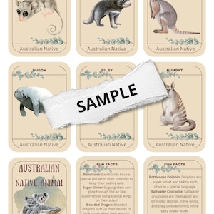 Australian Native Animal Flash Cards and Memory Game - Etsy