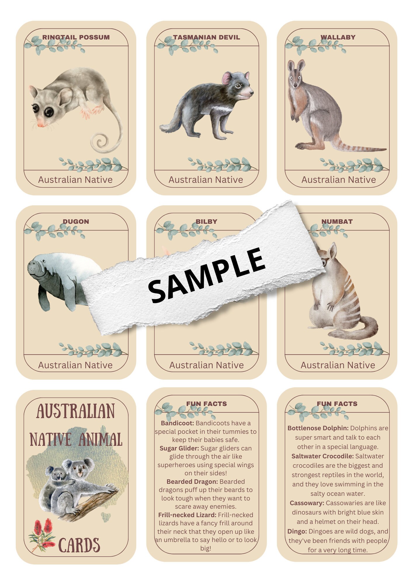 Australian Native Animal Flash Cards and Memory Game - Etsy