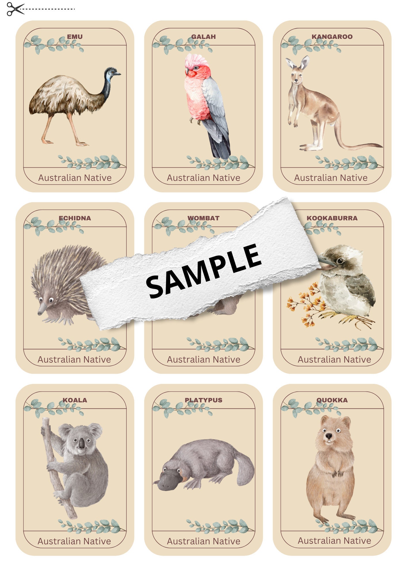 Australian Native Animal Flash Cards and Memory Game - Etsy