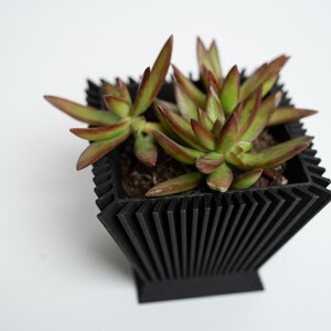 Mini Planter. Modern Plant Pot. Small Succulent Pot. Crate and - Etsy