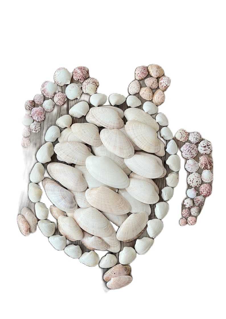 Sea Turtle Wall Hanging - Etsy