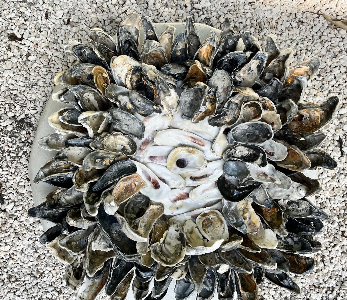 Oyster Shell Sculpture - Etsy