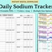 Low Sodium Food Journal Printable PDF, A4 A5 Printable Daily Salt ...