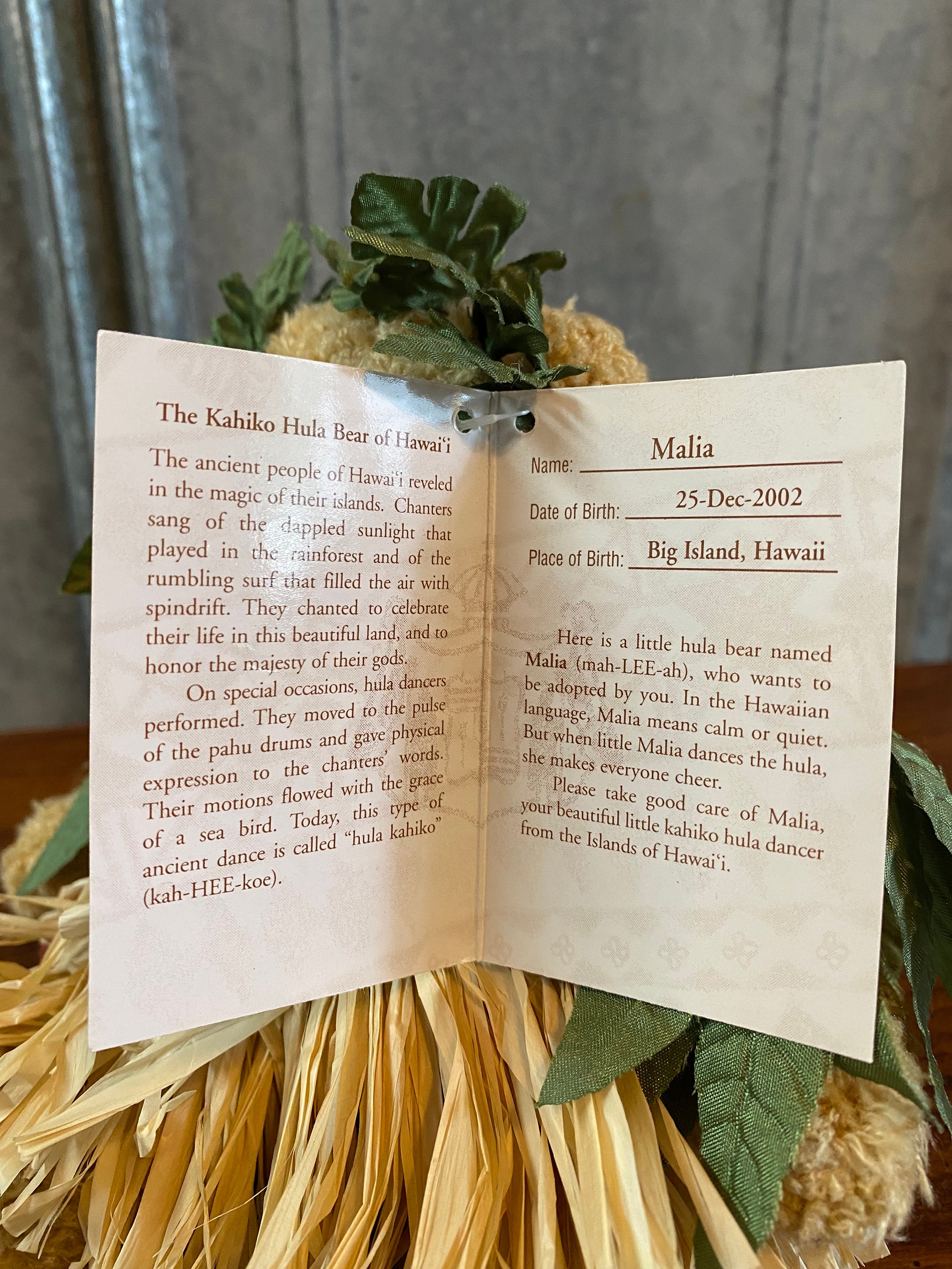 Vintage Bearfoot Hawaiian Hula Bear - Etsy