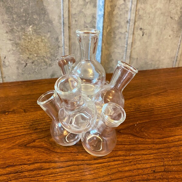 Science Beaker Vase at Charles Braim blog