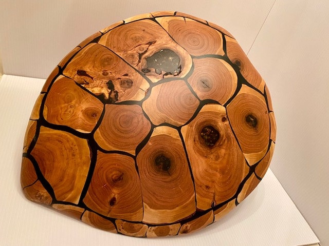 Wood Turtle Shell