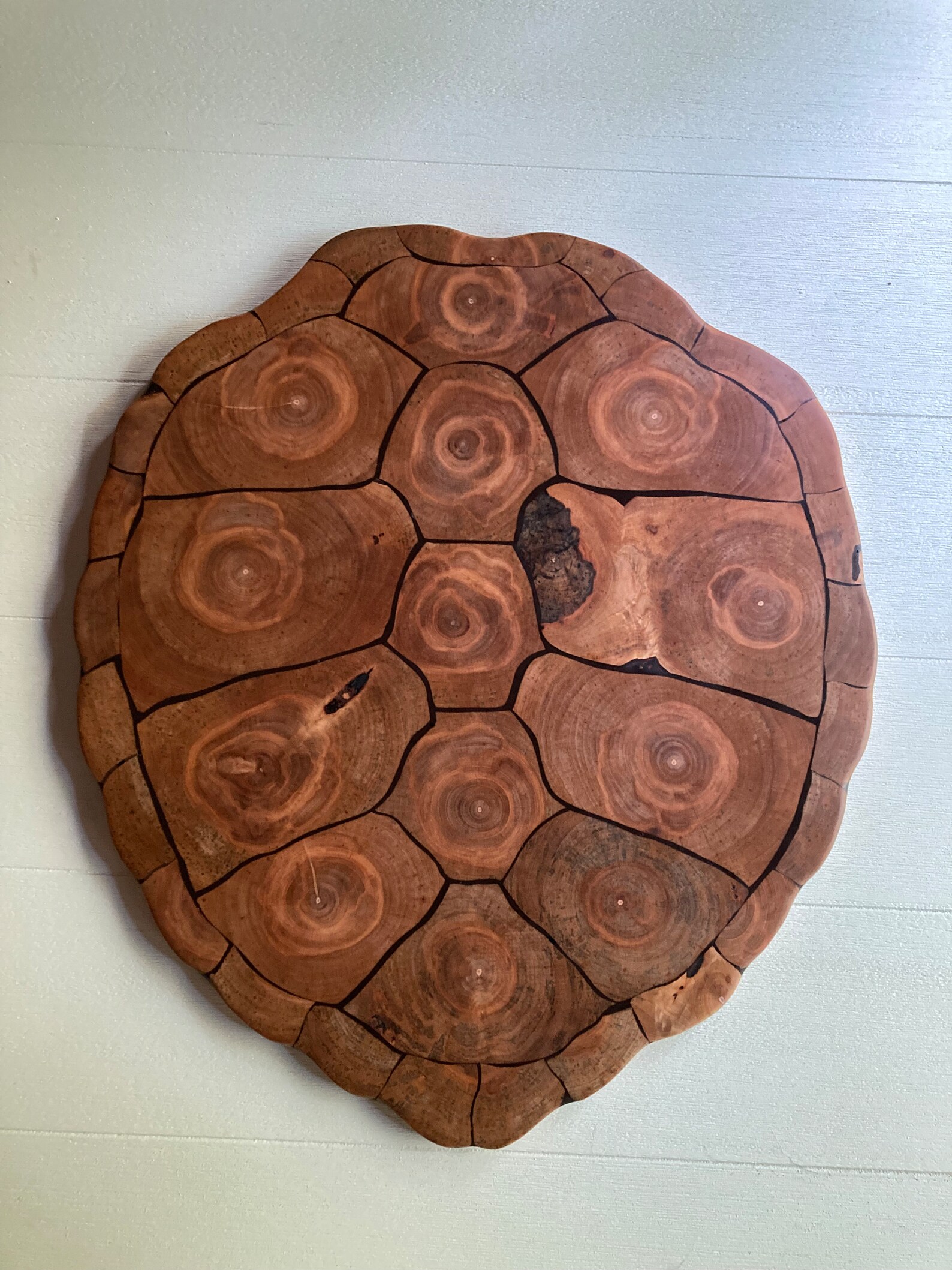 Turtle Shell Charcuterie Board - Etsy