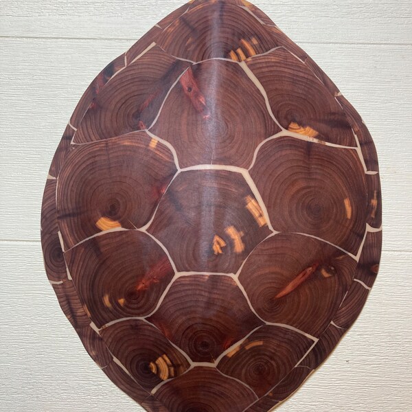 Turtle Shell - Etsy