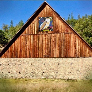 Wise Old Owl Barn Quilt Pattern and Directions for Making This Outdoor ...