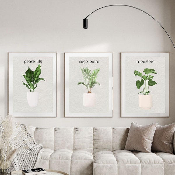 Houseplant Print - Etsy