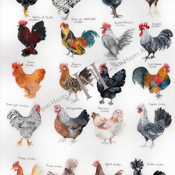 Chicken Print - Etsy