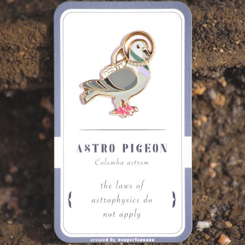 Astro Pigeon Enamel Pin - Etsy