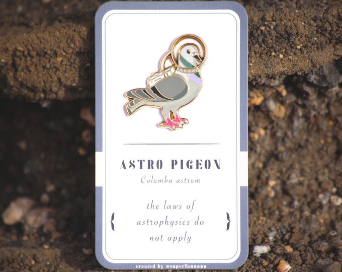 Astro Pigeon Enamel Pin - Etsy
