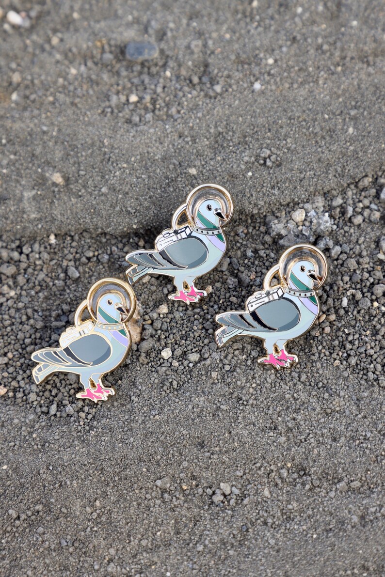 Astro Pigeon Enamel Pin - Etsy