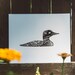 Loon Wall Art - Cabin Core Decor -print-cabin Art - Loons - Maine Loon ...