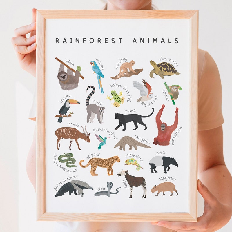 Rainforest for Nursery - Etsy