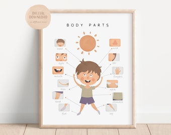 Body Parts, Educational Poster, Printable Wall Art, Digital Download ...