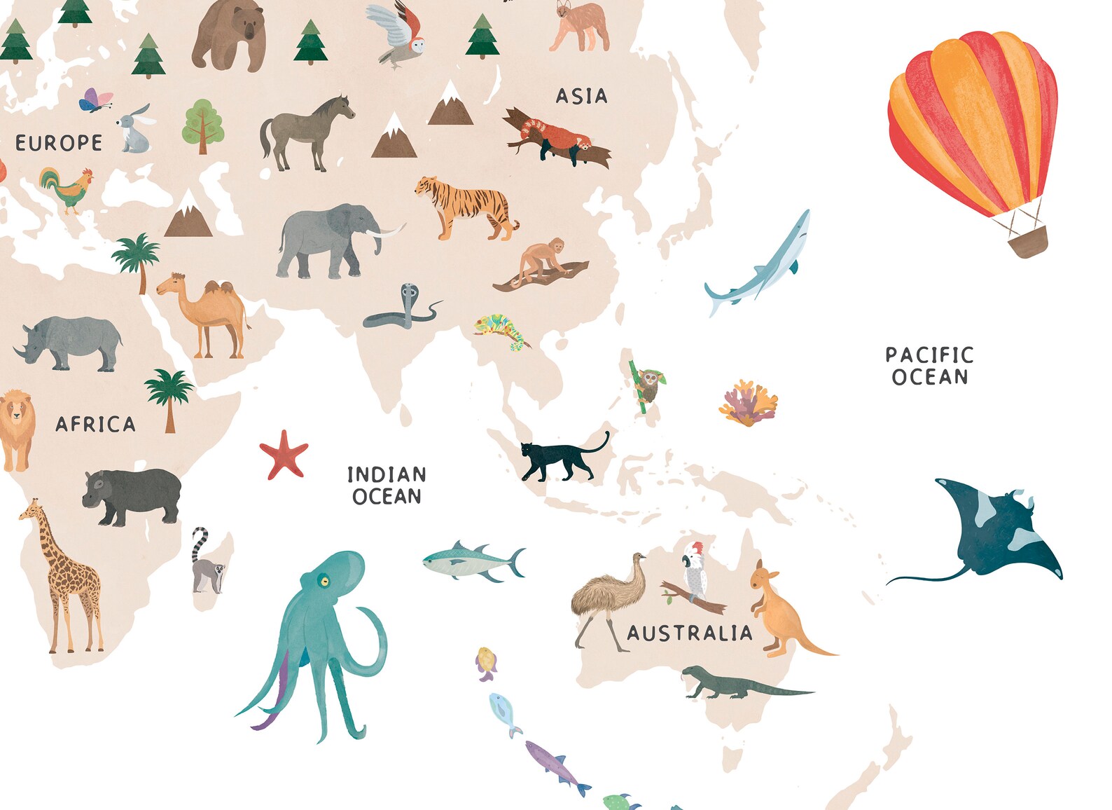 Set of 7 Educational Animal Posters, Insects, Farm Animals, Safari ...