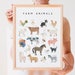 4 Educational Animal Posters, Insects Poster, Farm Animals, Safari ...