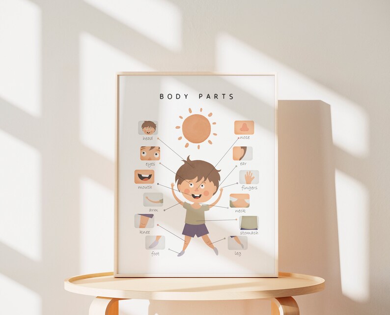 Body Parts Educational Poster Printable Wall Art Digital - Etsy Canada