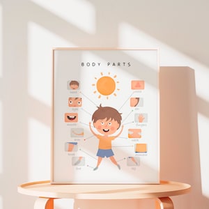 Body Parts Poster, Educational Posters, Montessori Materials, Nursery ...