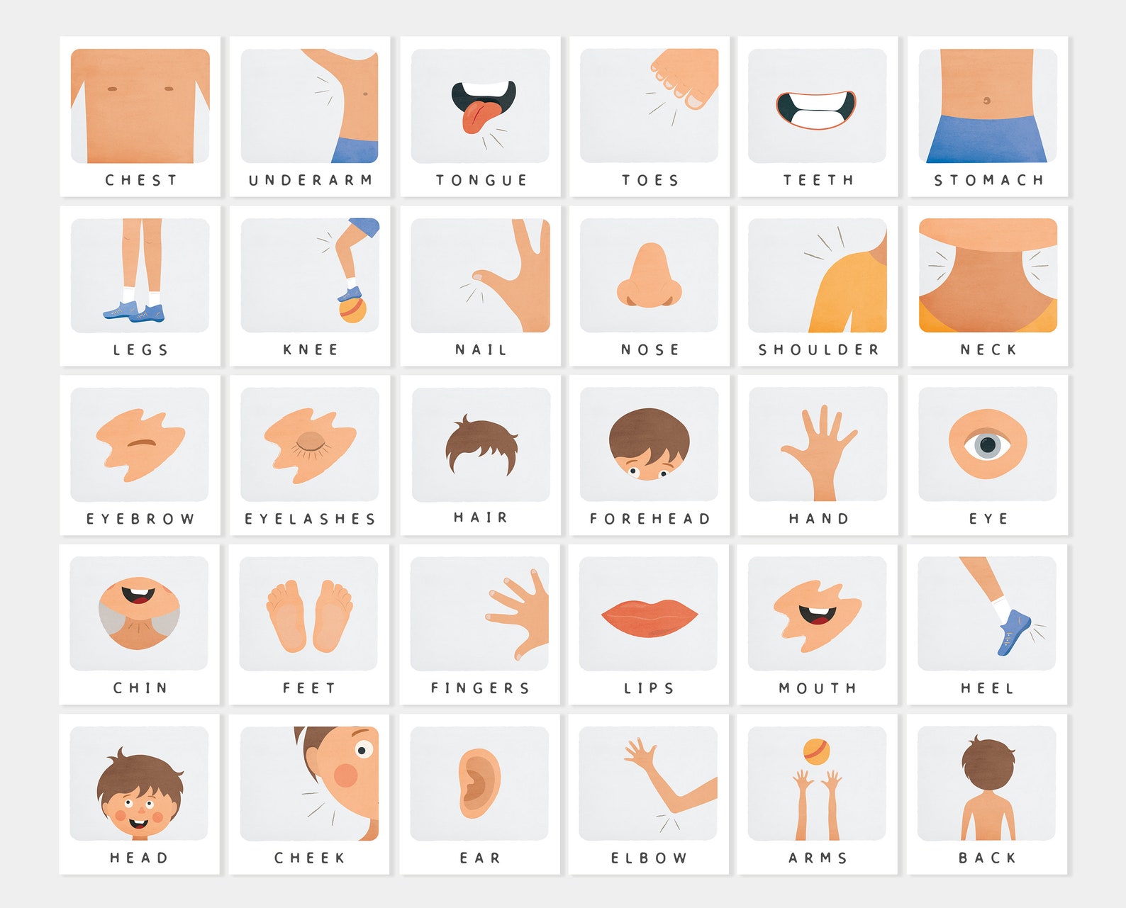 30 Body Parts Cards Montessori Flashcards Pre-school Cards - Etsy