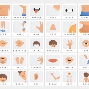 30 Body Parts Cards Montessori Flashcards Pre-school Cards - Etsy UK