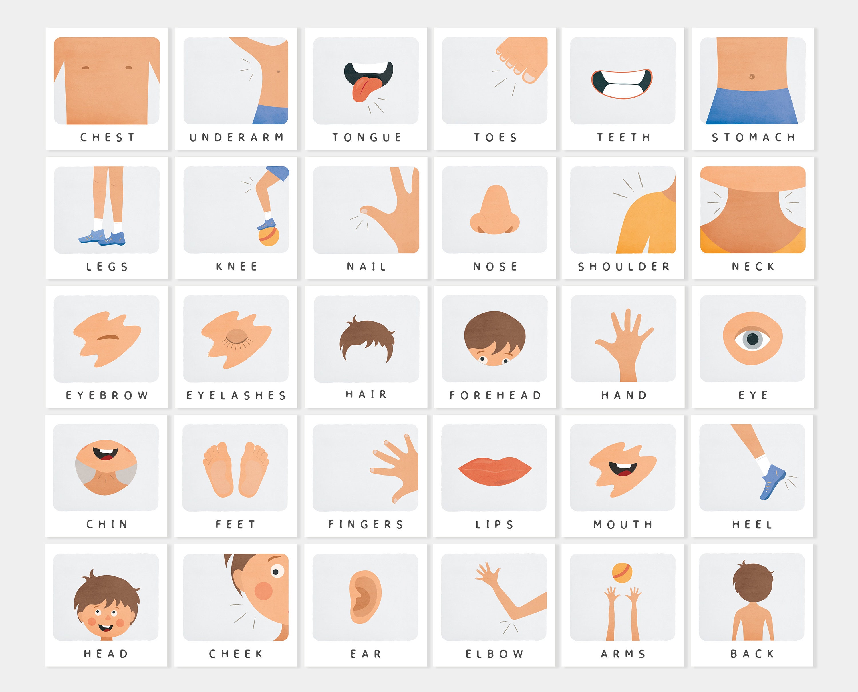 30 Body Parts Cards Montessori Flashcards Pre-school Cards - Etsy