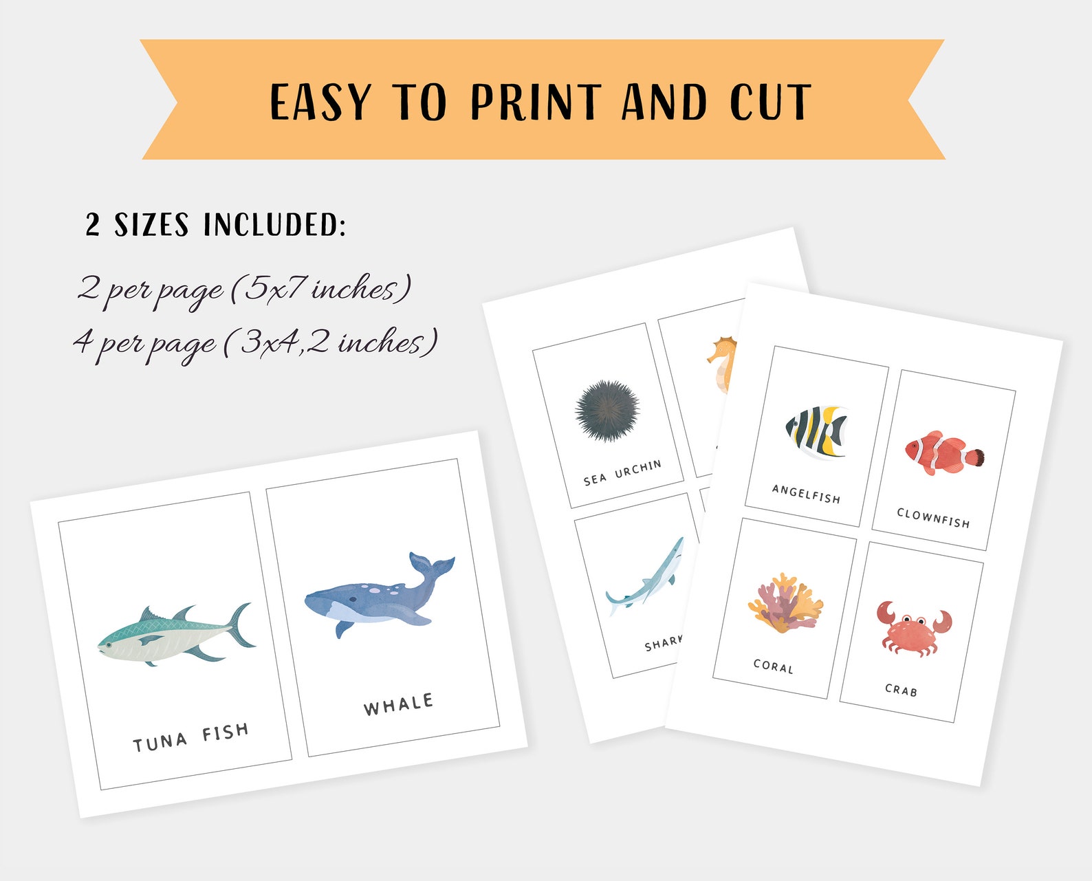 22 Ocean Animals Cards Montessori Flash Cards Pre-school - Etsy