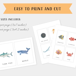 22 Ocean Animals Cards, Montessori Flash Cards, Pre-school Cards ...